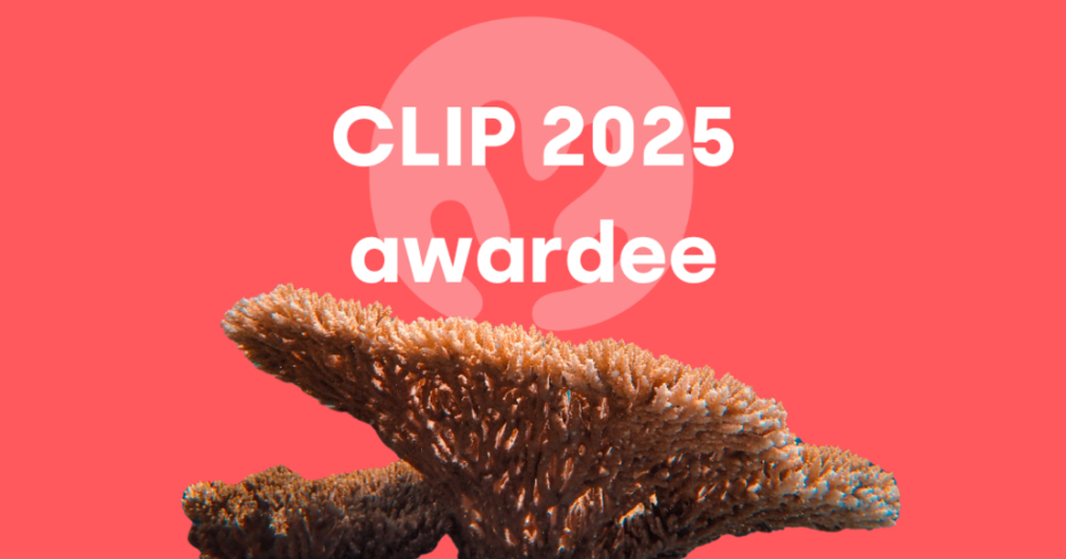 Understanding how environmental conditions shape corals’ microbiome and ...