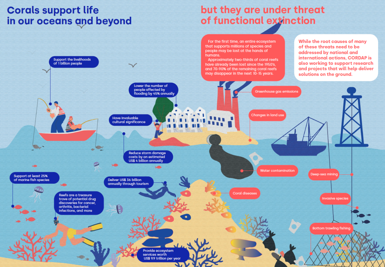 CORDAP Foundation - CORDAP