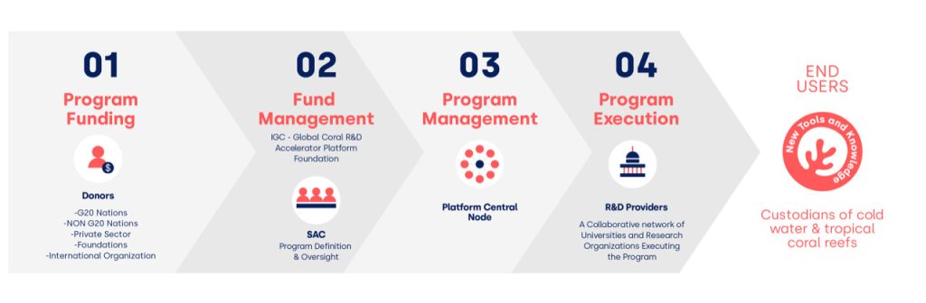 CORDAP Foundation - CORDAP