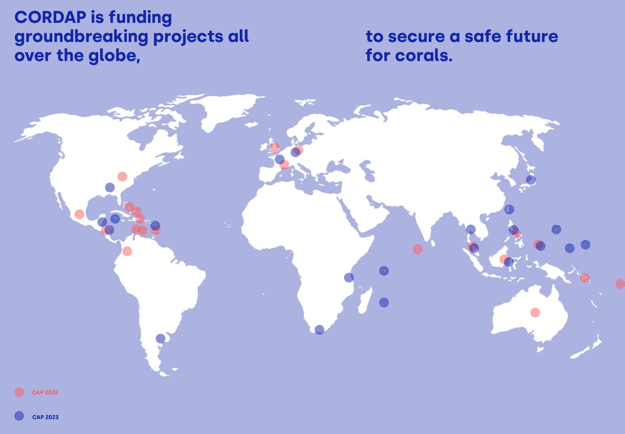 CORDAP Annual Report 2024: Rewriting the future for corals